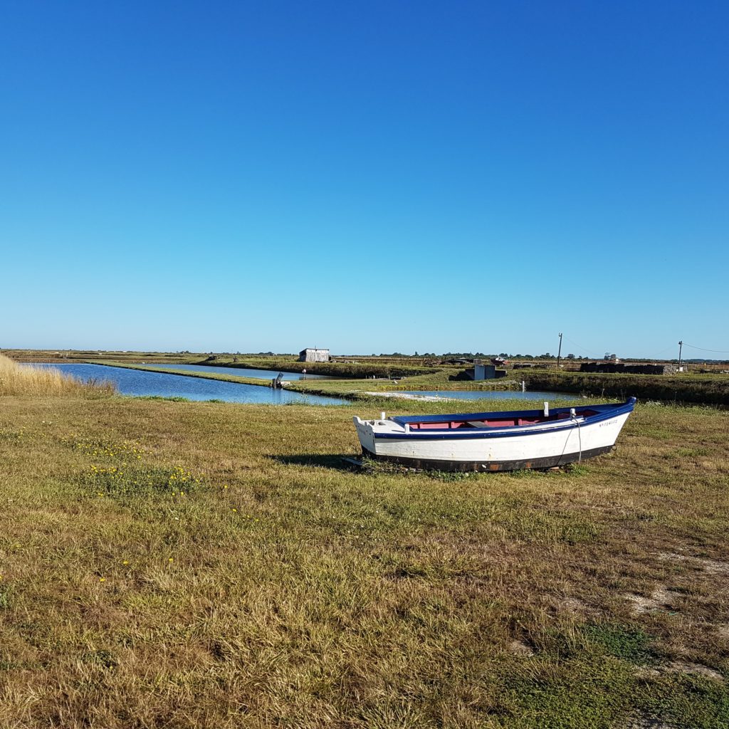 Sur la rive gauche de la Seudre - Des Murs à lire
